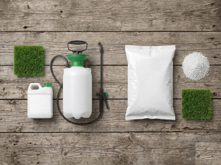 When to Apply Fungicide to Lawn- Best Timing & Tips